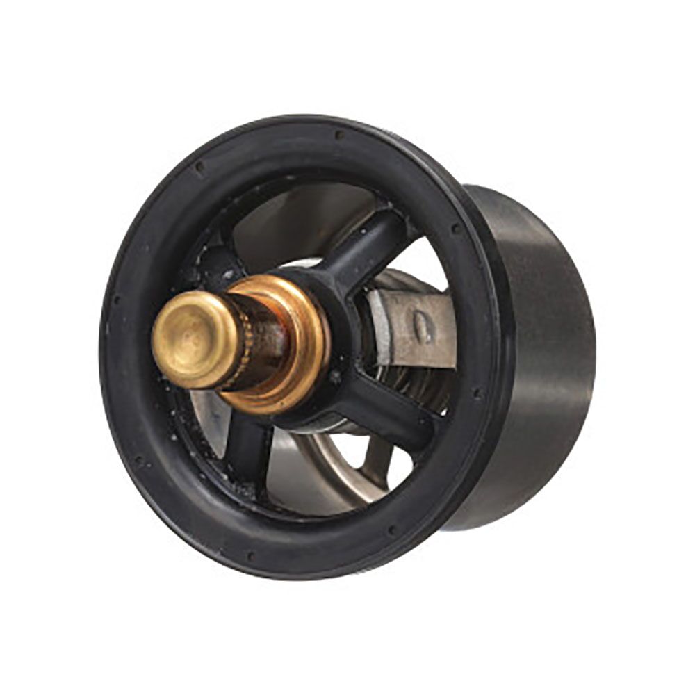 Radiator Thermostat - #504096443 - Titan Machinery