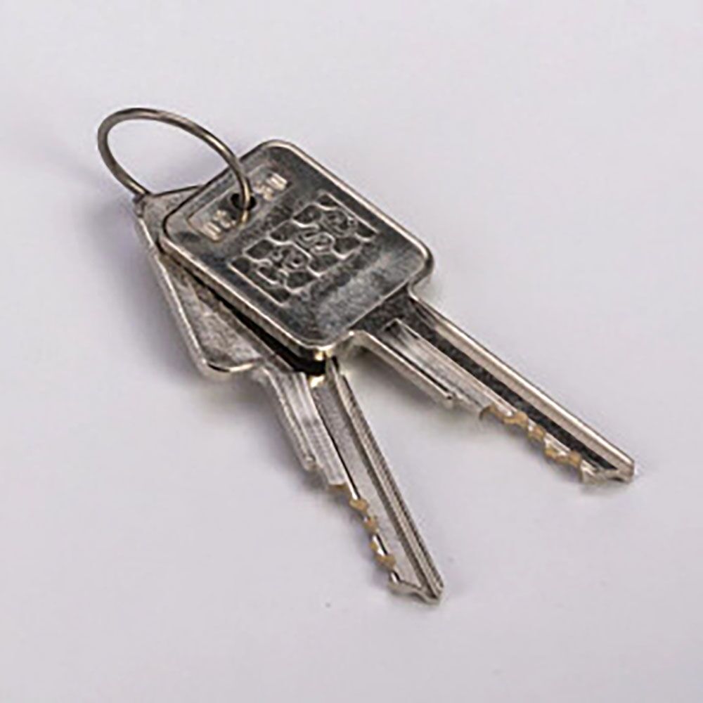 Set of 2 Keys - #A77313 - Titan Machinery