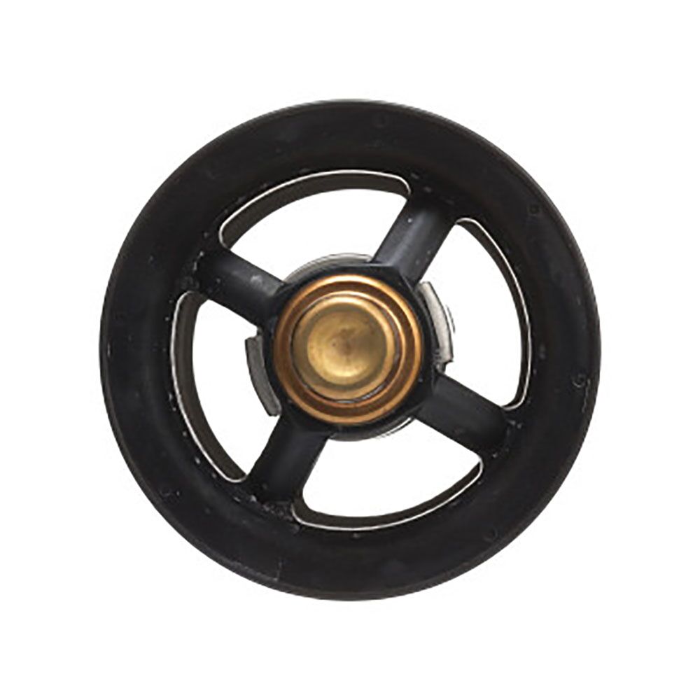 Radiator Thermostat - #504096443 - Titan Machinery